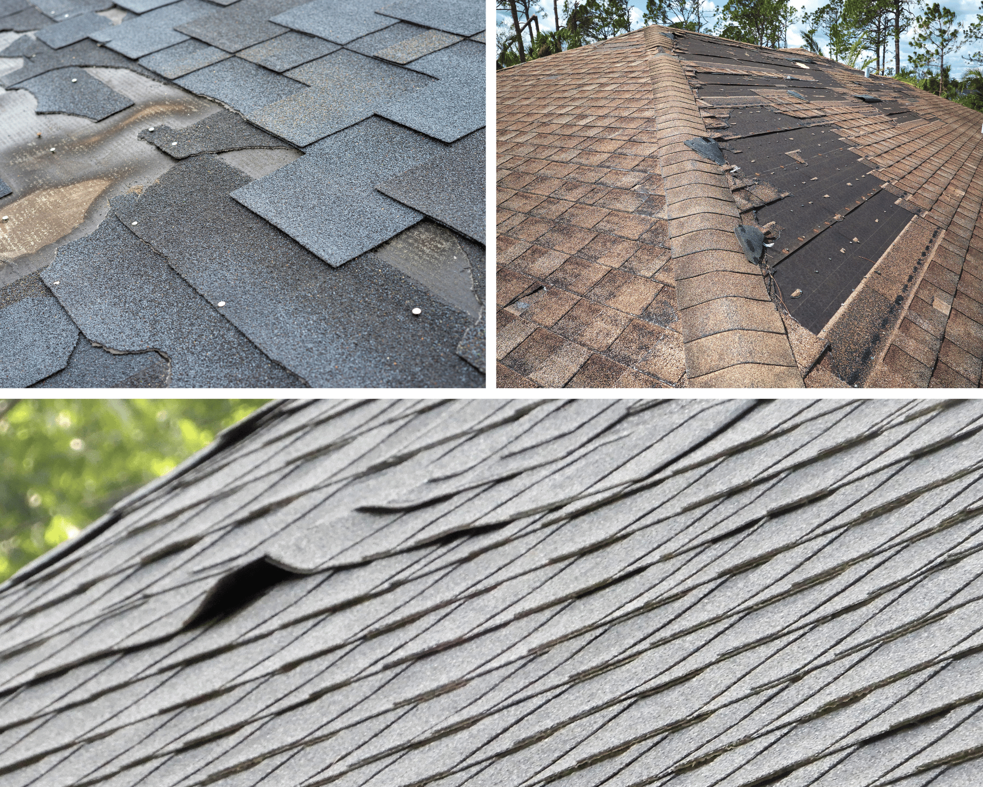 Most Common Roof Damages & How To Fix | Wescon Construction